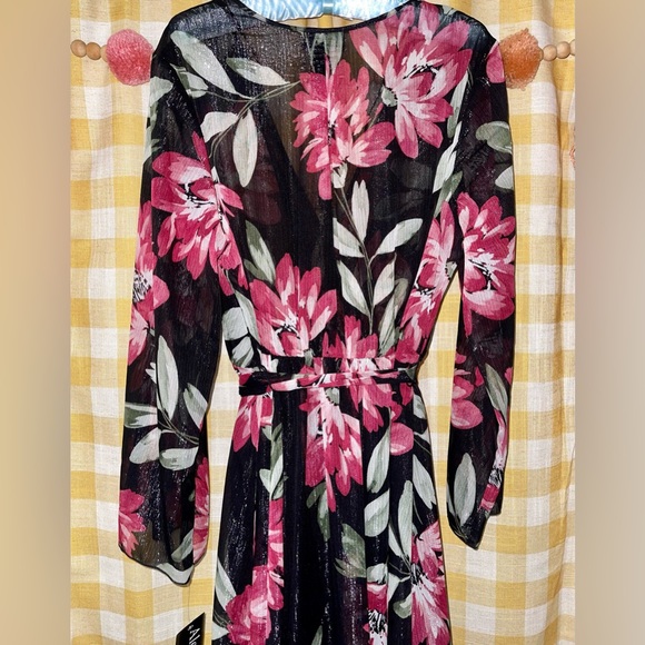 Alexa B Nites | Dresses | Alexa B 4w Beautiful Sheer Black Gown W Strap ...